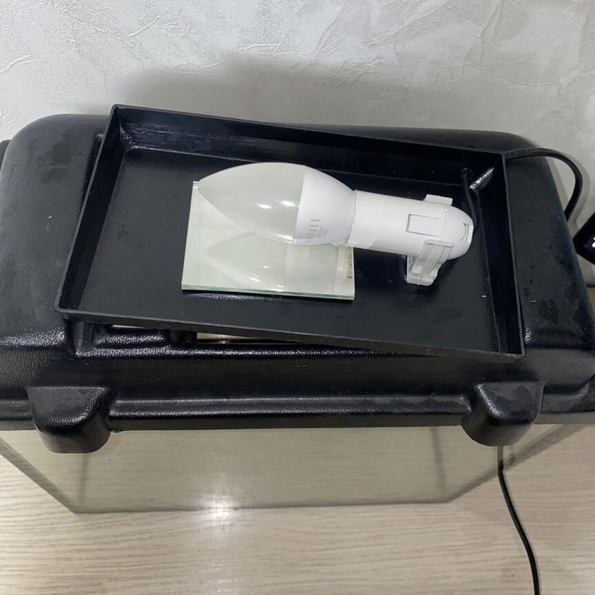 Аквариумные рыбки черепахи