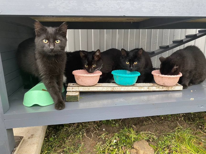 Акция Акция Акция