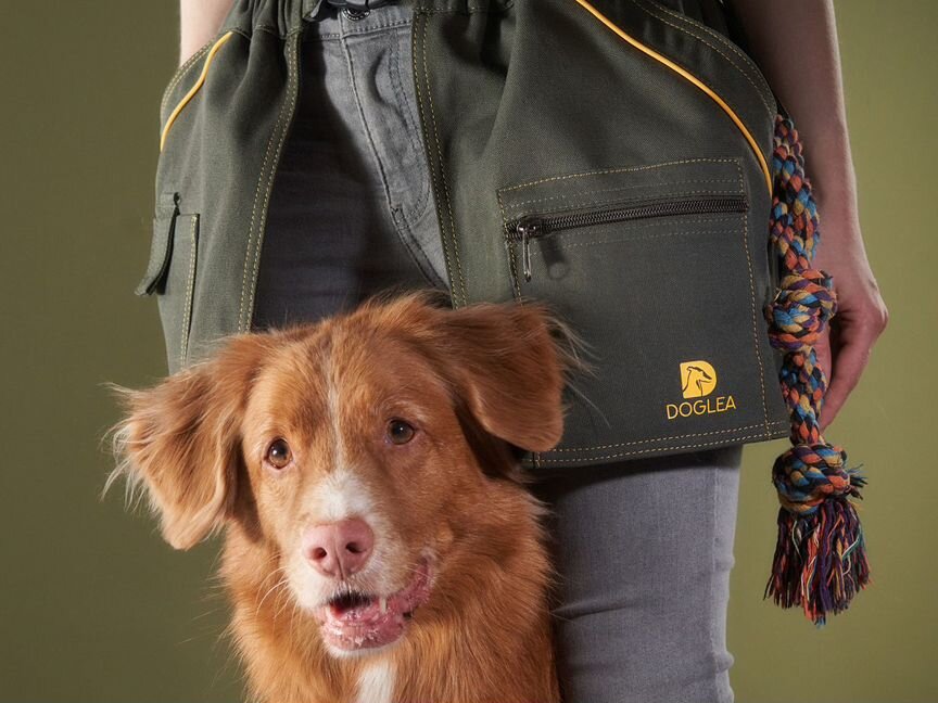 Пояс-юбка дрессировщика doglea Basic