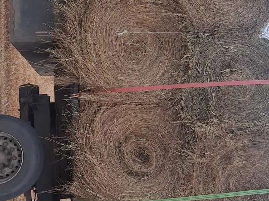 Сено доставка и перевозка вашего