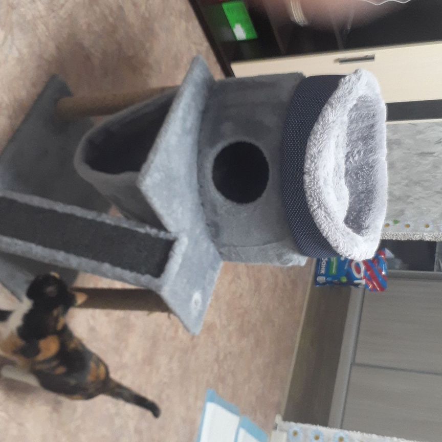 Домик для кошек