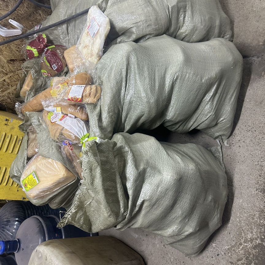 Хлеб для животных