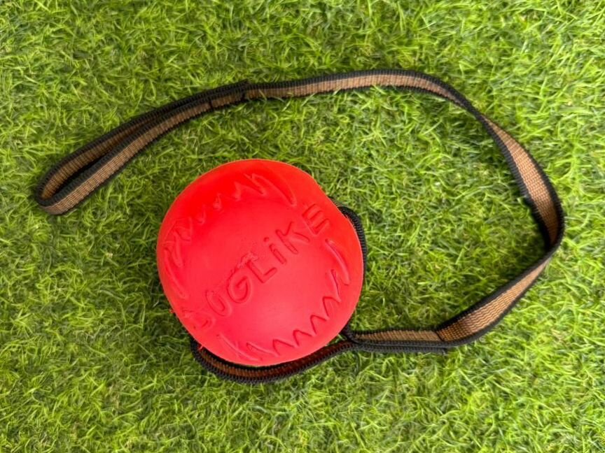 Мяч для дрессировки "доглайк" с лентой, средний