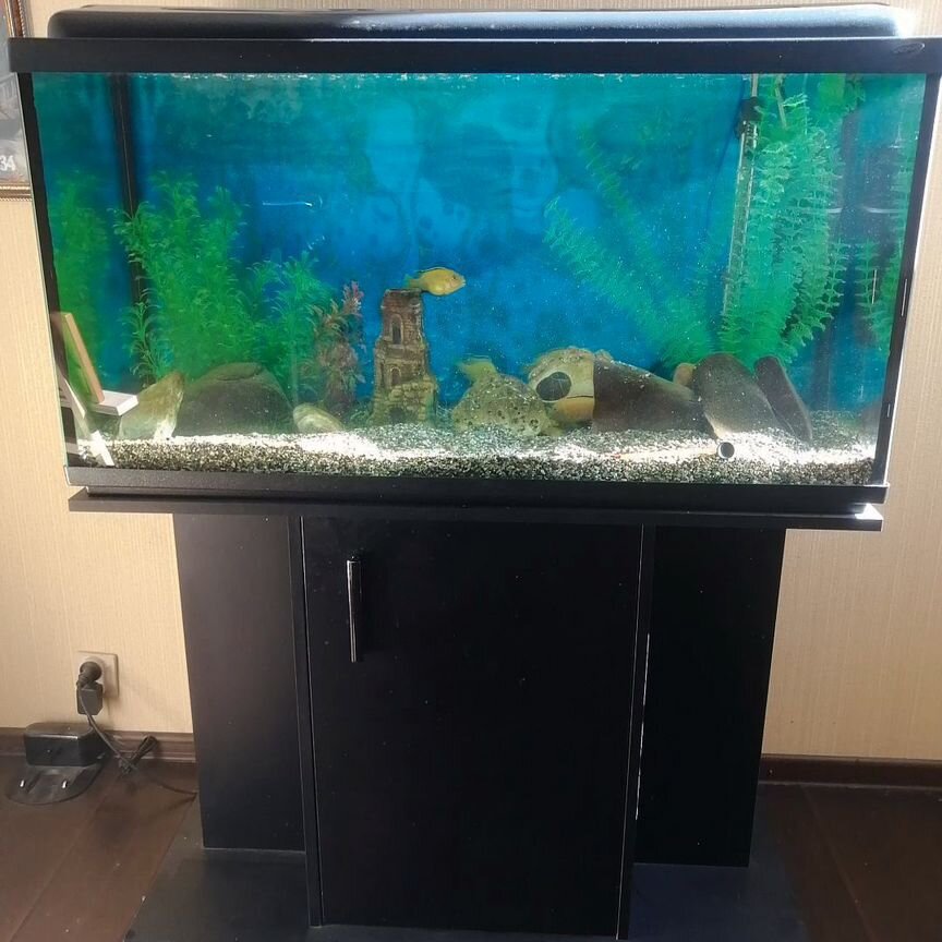 Аквариум 180 литров