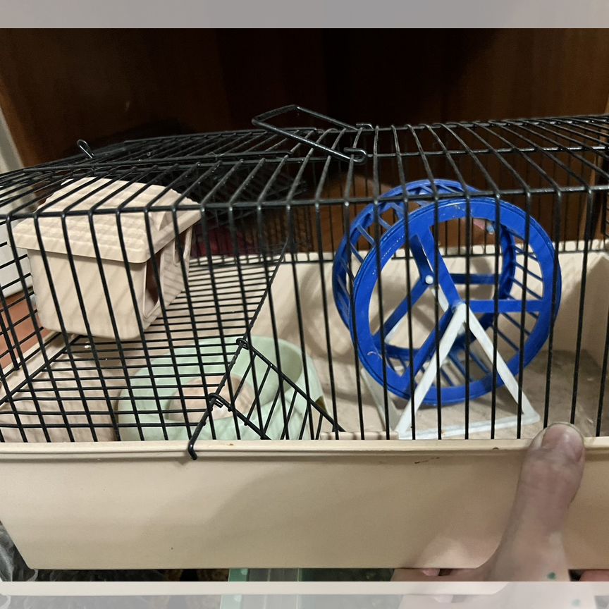 Продам 2 клетки, наполнитель, корм
