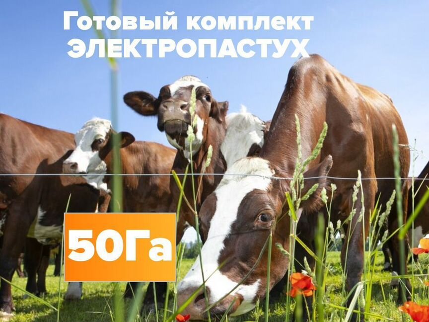Комплект электропастух 50 Га