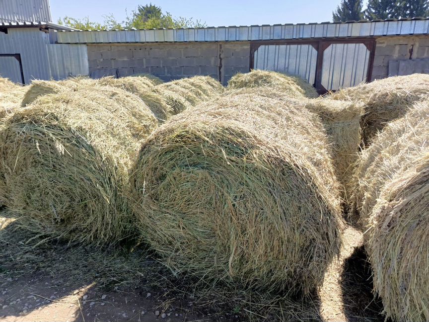 Продам сено в рулонах