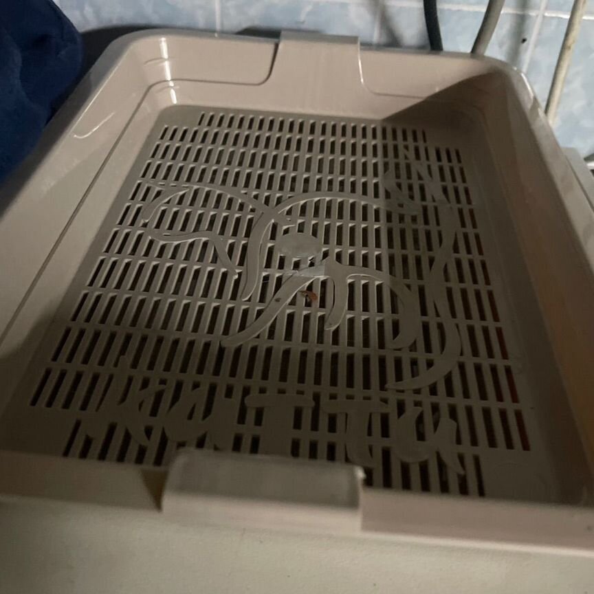 Лоток для кошек