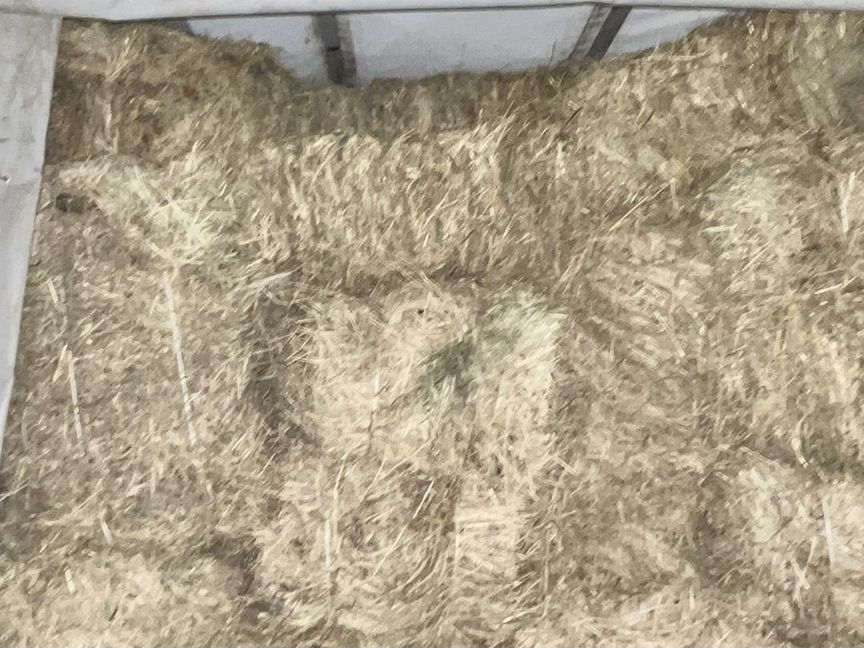 Сено в брикетах