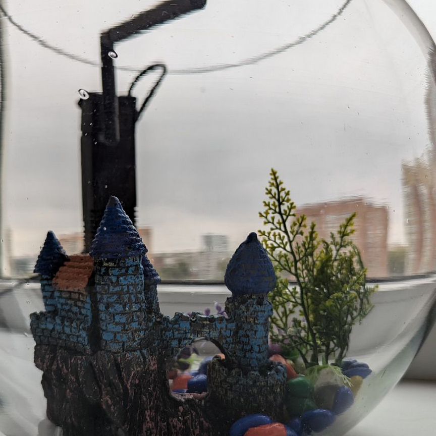 Аквариум круглый (10 литров)