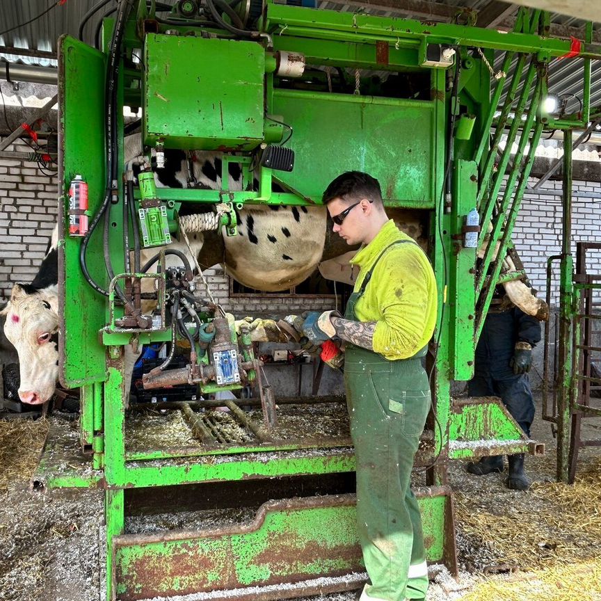 Станок для обрезки копыт в аренду