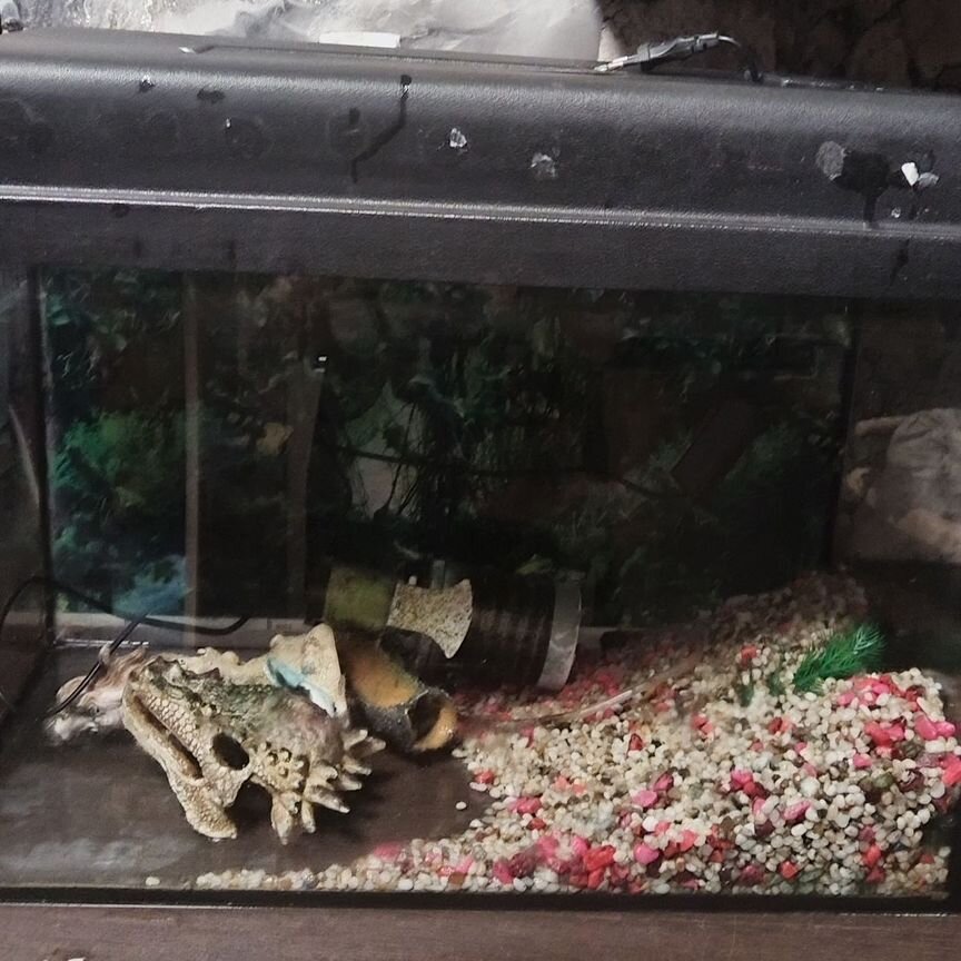 Аквариум 60 литров