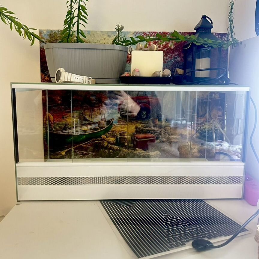 Террариум 60х30х30 с термоковриком