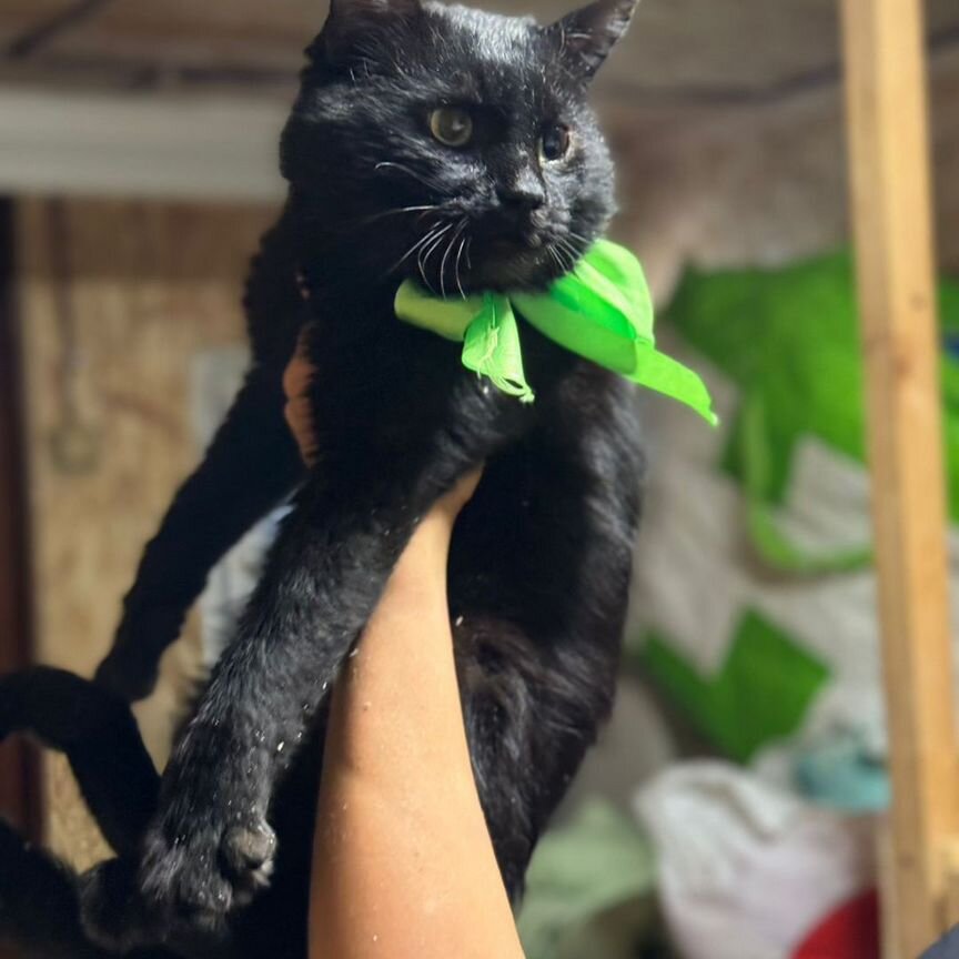 Космос ищет дом