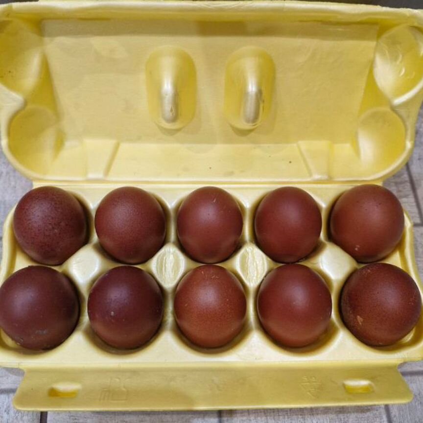 Домашние куриные яйца