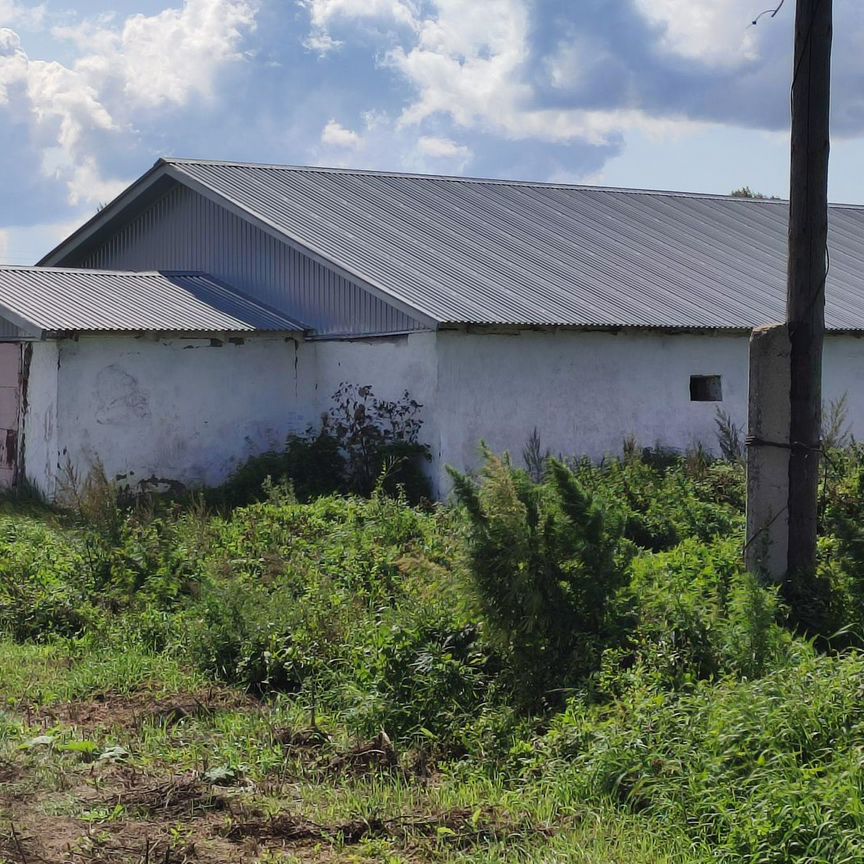 Продаю Животноводческая ферма или птицеферма