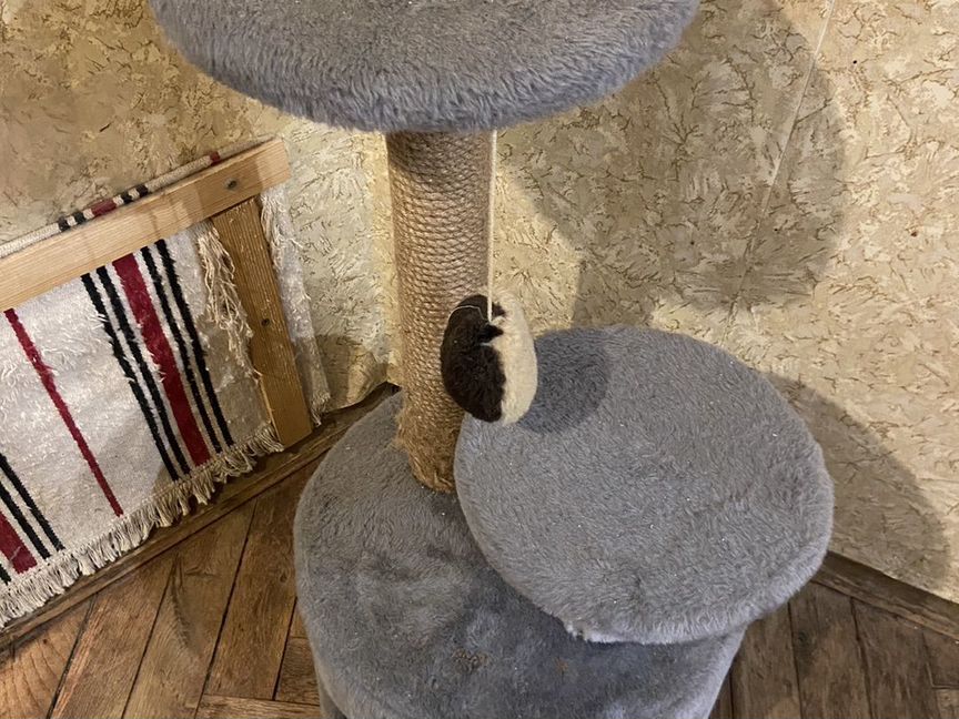 Когтеточка с домиком бу