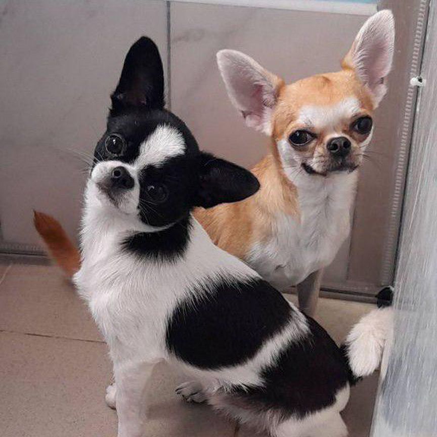 Парни для красивых детей