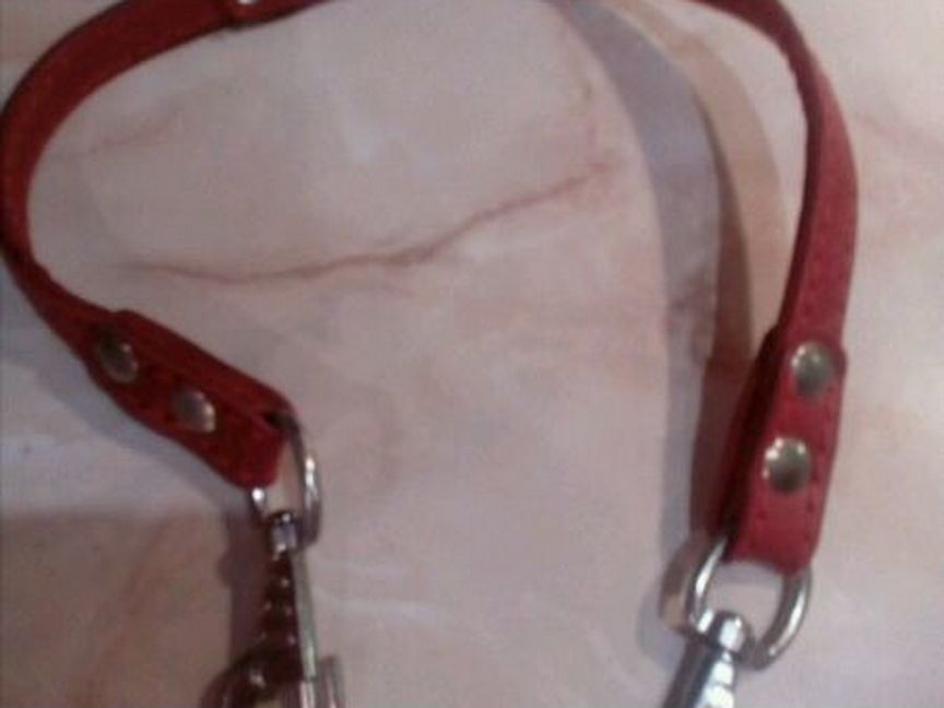 Разделяющий поводок на двух средних собак