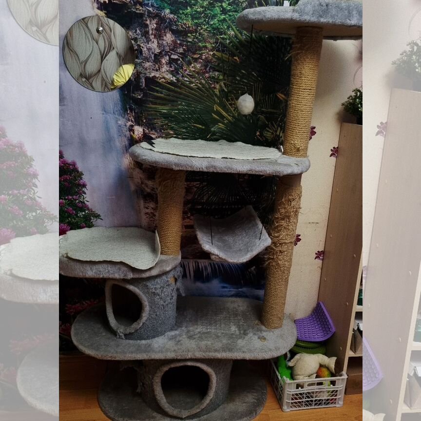 Товары для животных