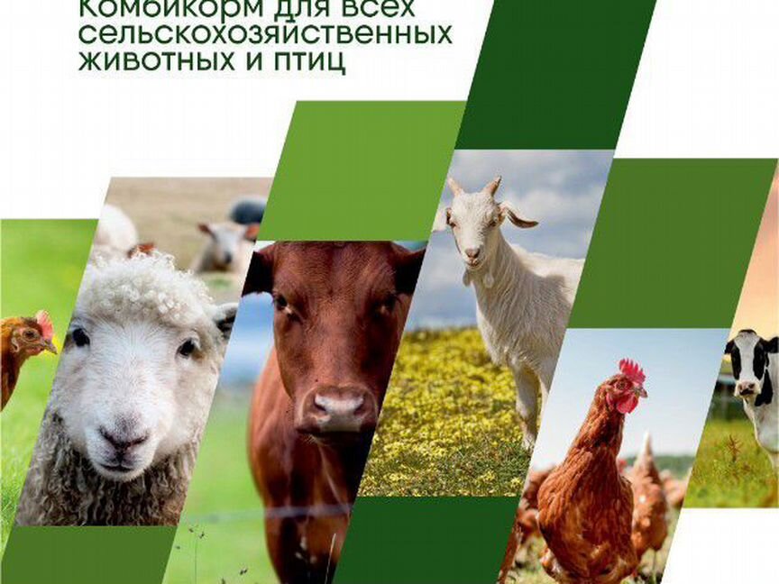 Комбикорм