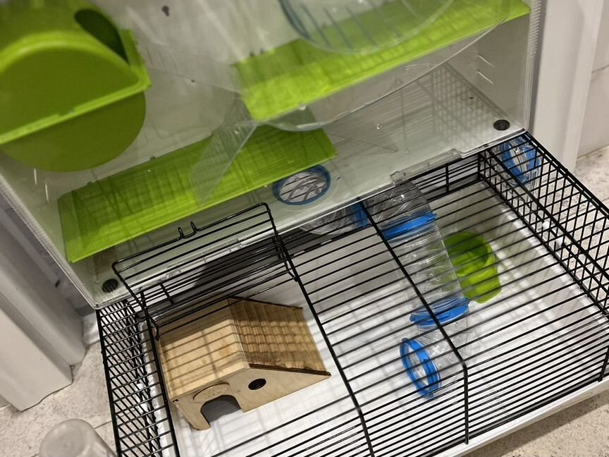 Клетка для грызунов ferplast