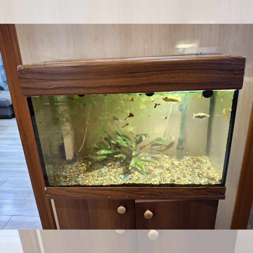 Аквариум с тумбой