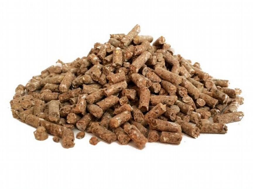 Корм для рыбы и не только