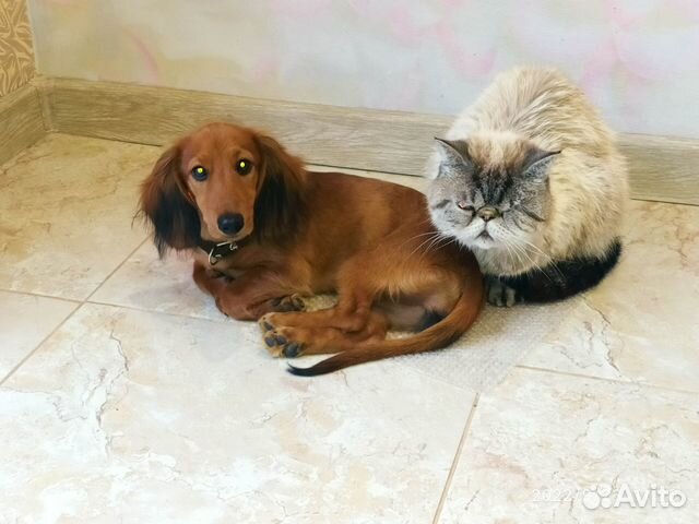 Ищем мальчика для вызки