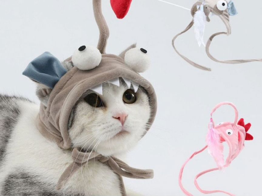 Шапочка для кошки с игрушкой на лбу