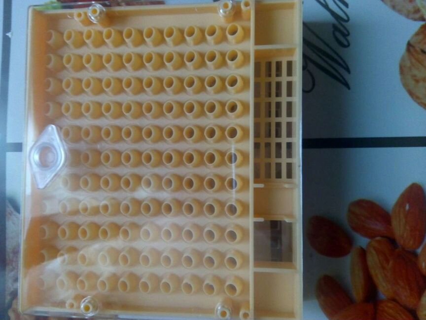 Сот для пчеломаток