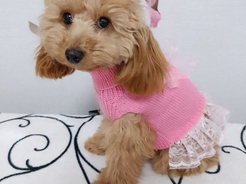 Розовое платье для собаки