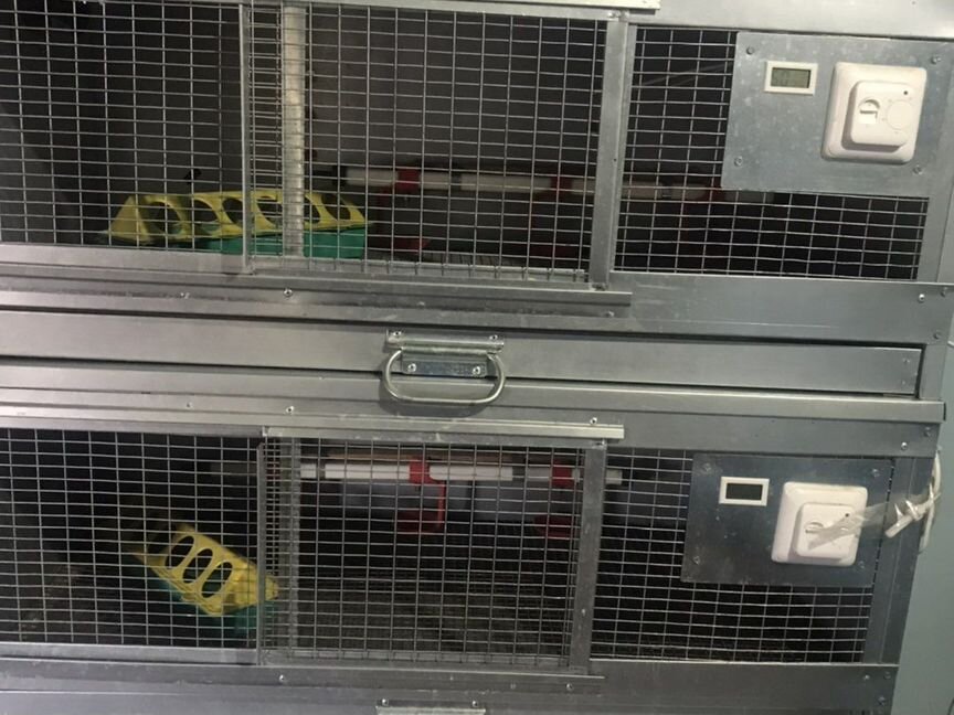 Брудэры 2 штуки