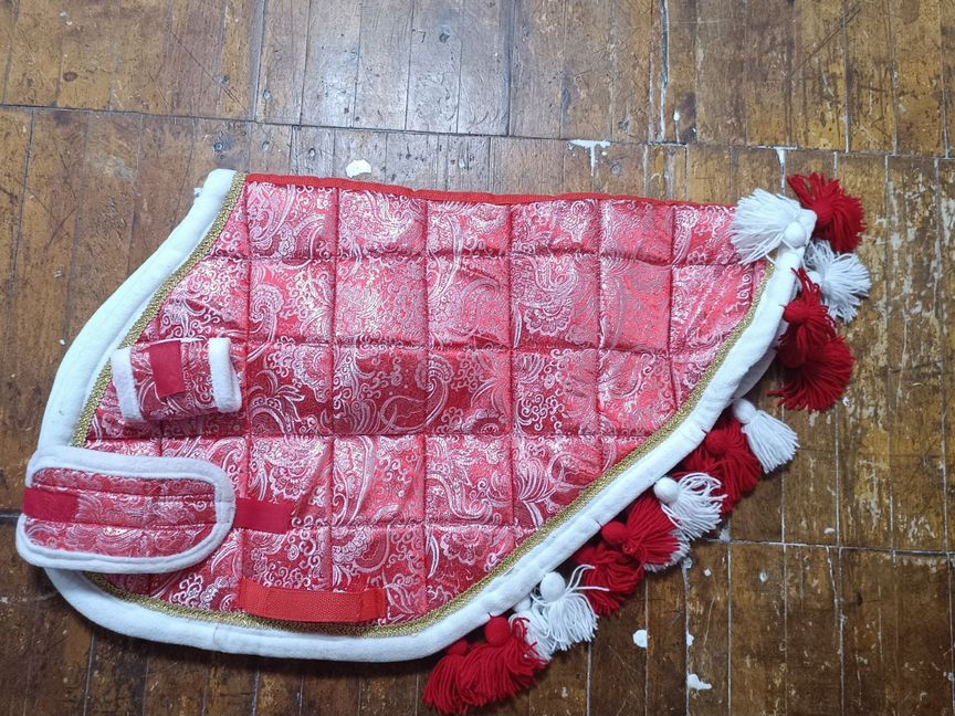 Амуниция для пони