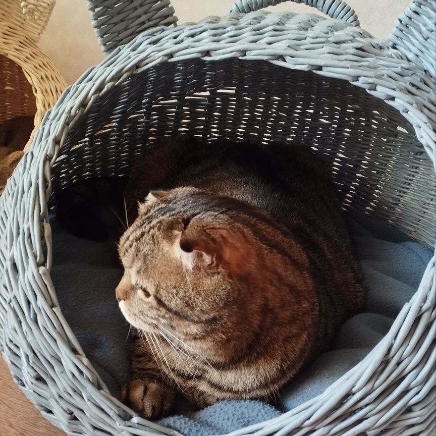 Лежанка для кота, домик для кота