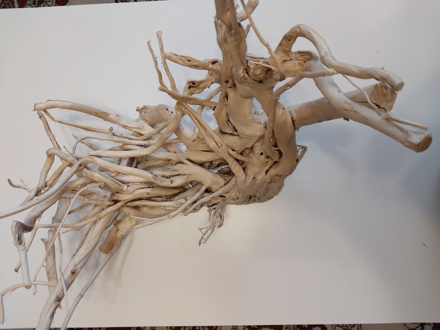 Коряга в террариум