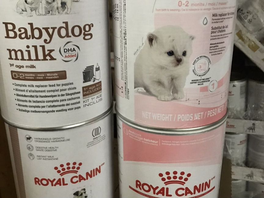 Сухое молоко Royal canin Babycat milk