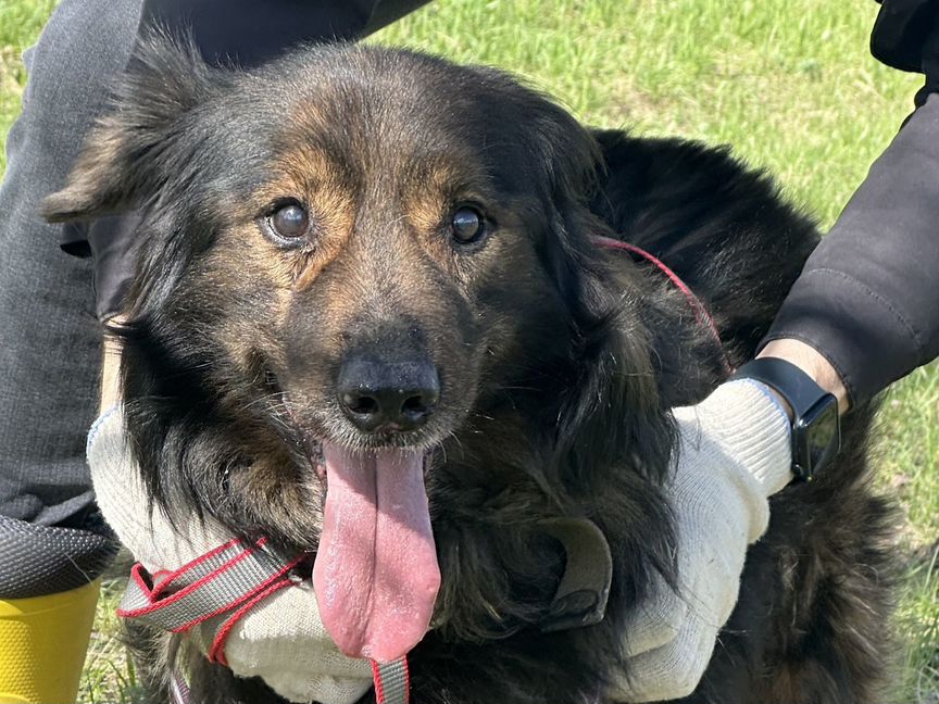 Слеповатый старичок всю жизнь провел в приюте