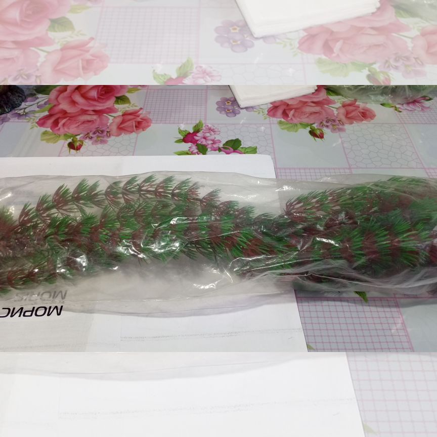 Декоративные растения для аквариума новые