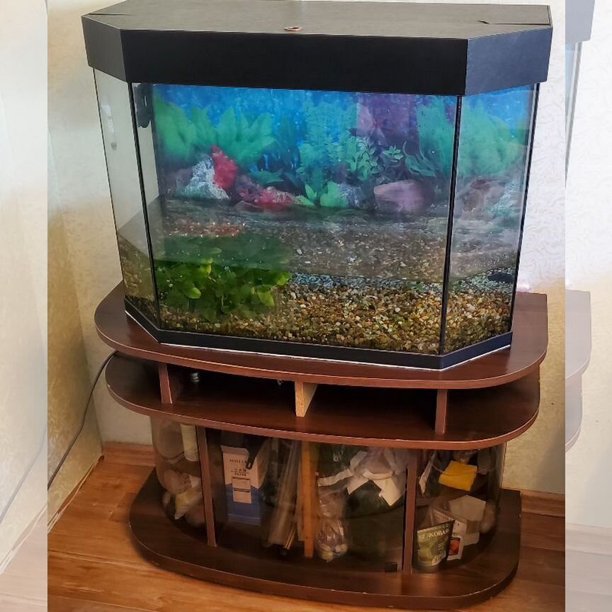 Аквариум 150 литров с тумбой под восстановление