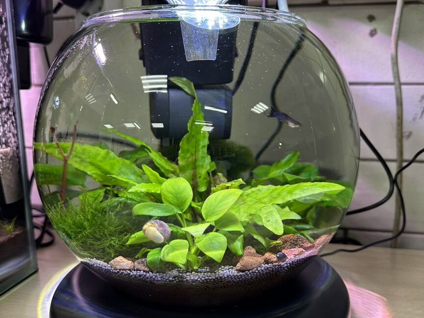 Аквариум Tetra cascade globe