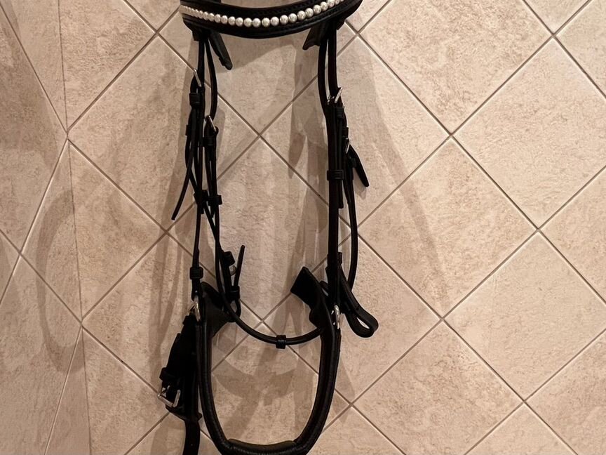 Уздечка для лошади