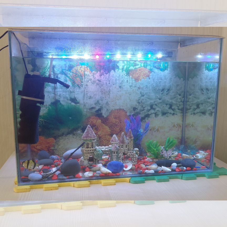 Аквариум с рыбками