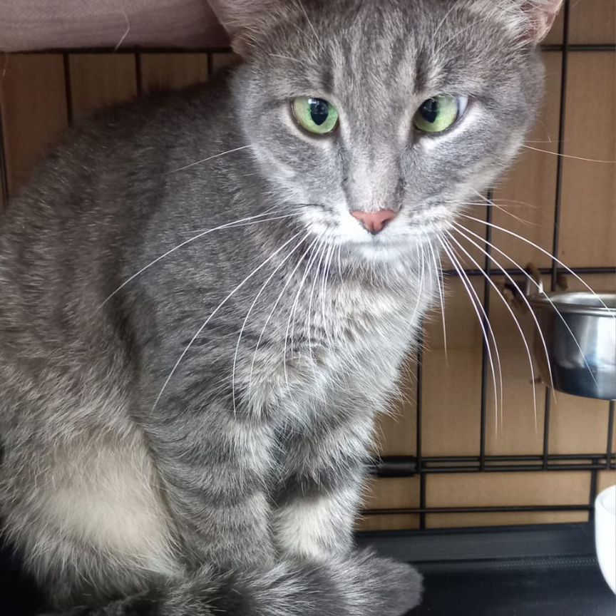 Косенькая красавица-брошенка,некуда идти,мам па