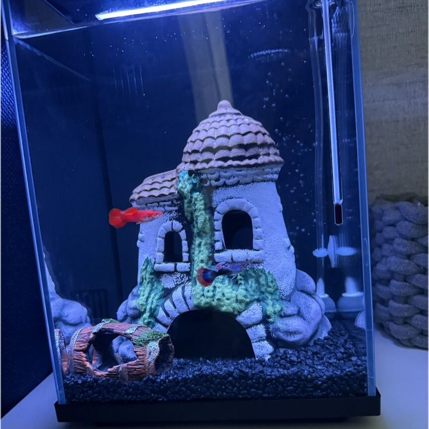 Умный аквариум xiaomi 10 литров