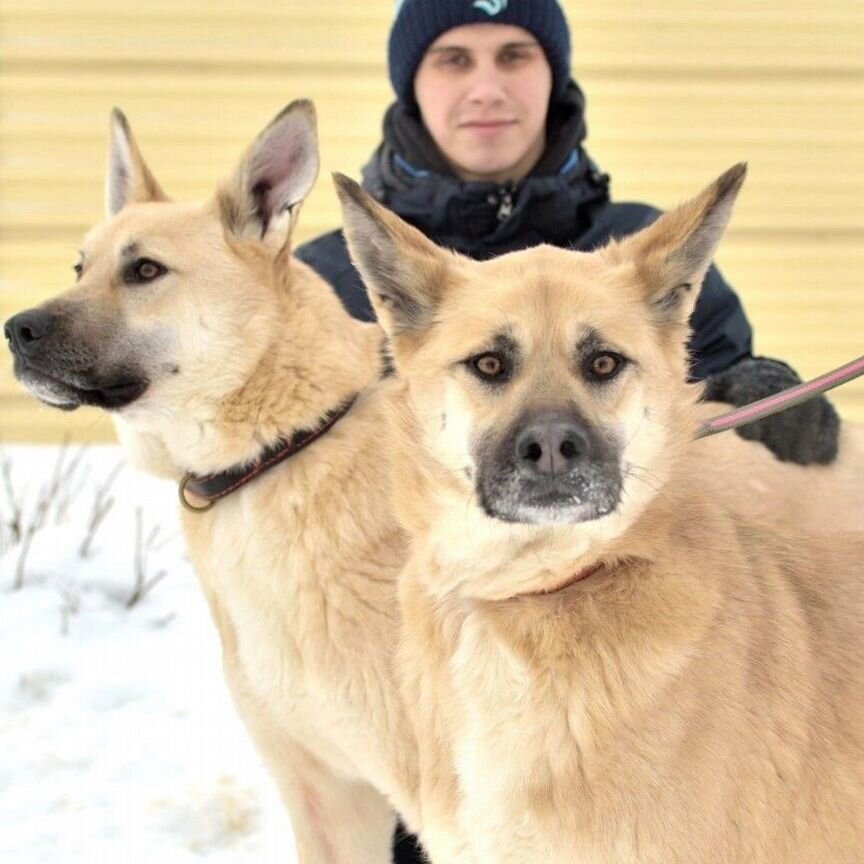 Одна жизнь на двоих