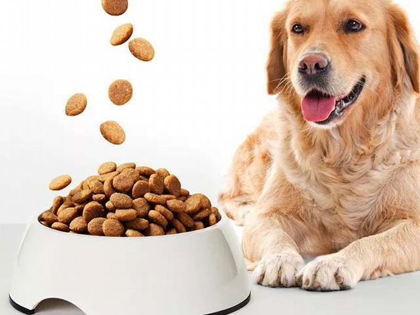 Сухой корм для собак Royal Canin Professional 20кг