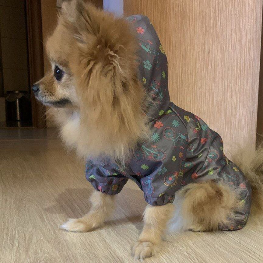 Одежда для маленьких собак