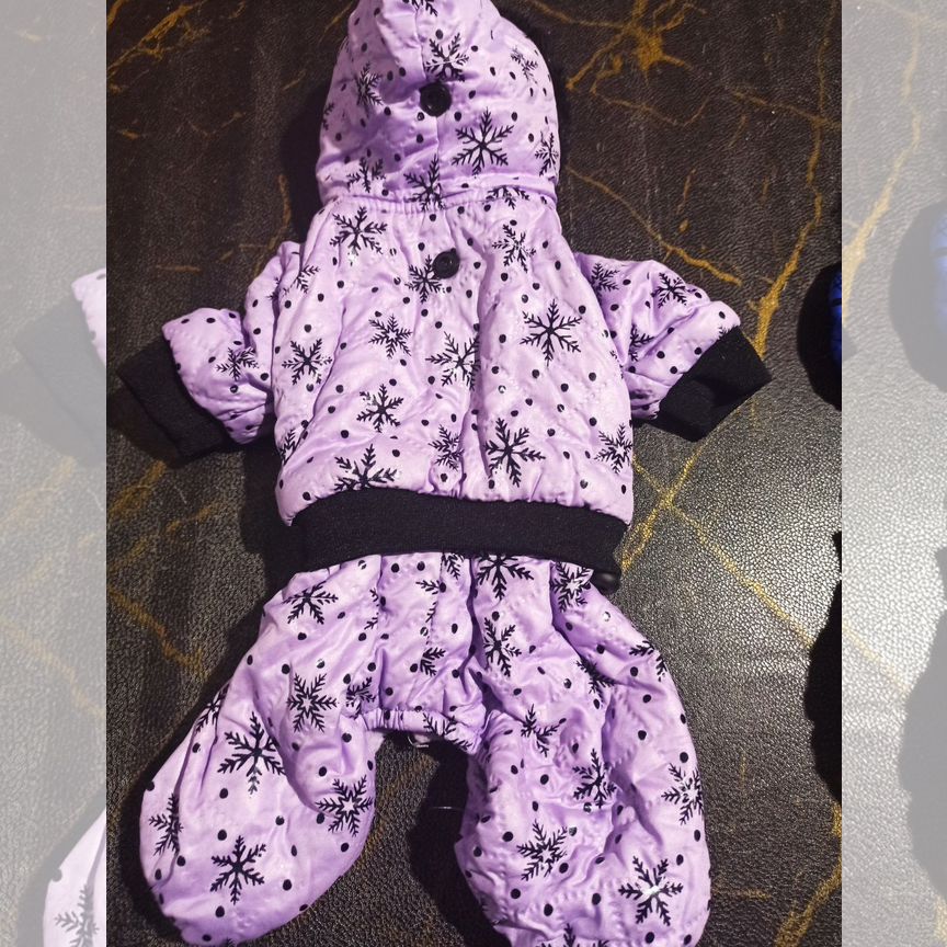 Одежда для маленьких собак