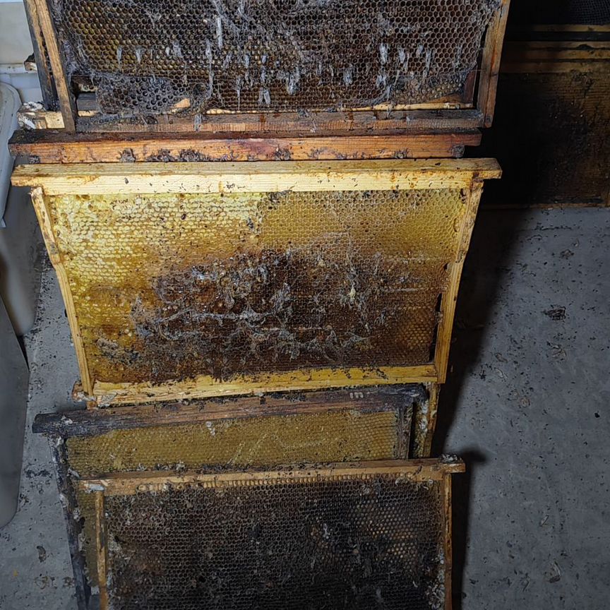 Сушь на перетопку